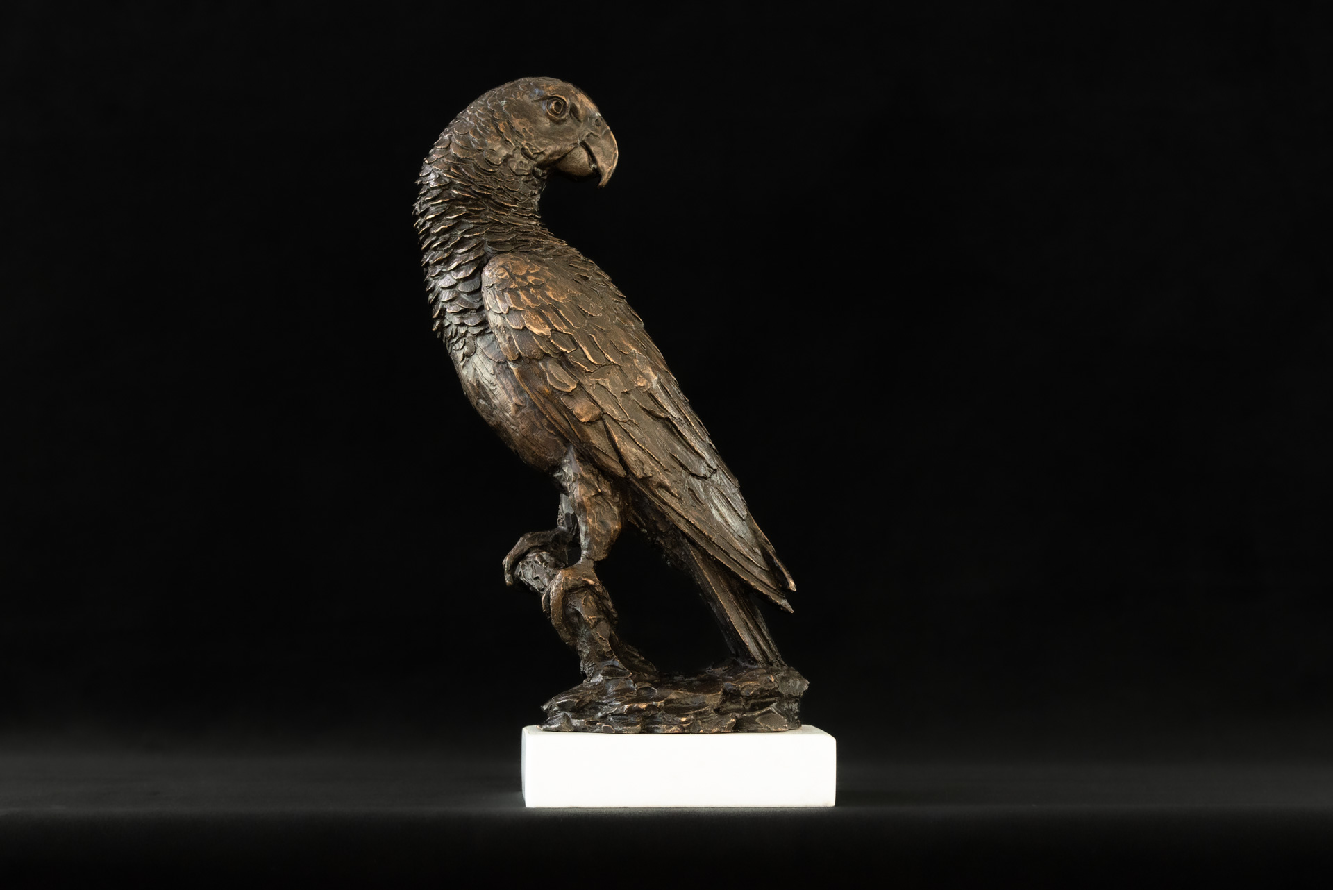 Bronze Parrot Sculpture | Bronze Parrot Statue | Bronze Parrot Ornament