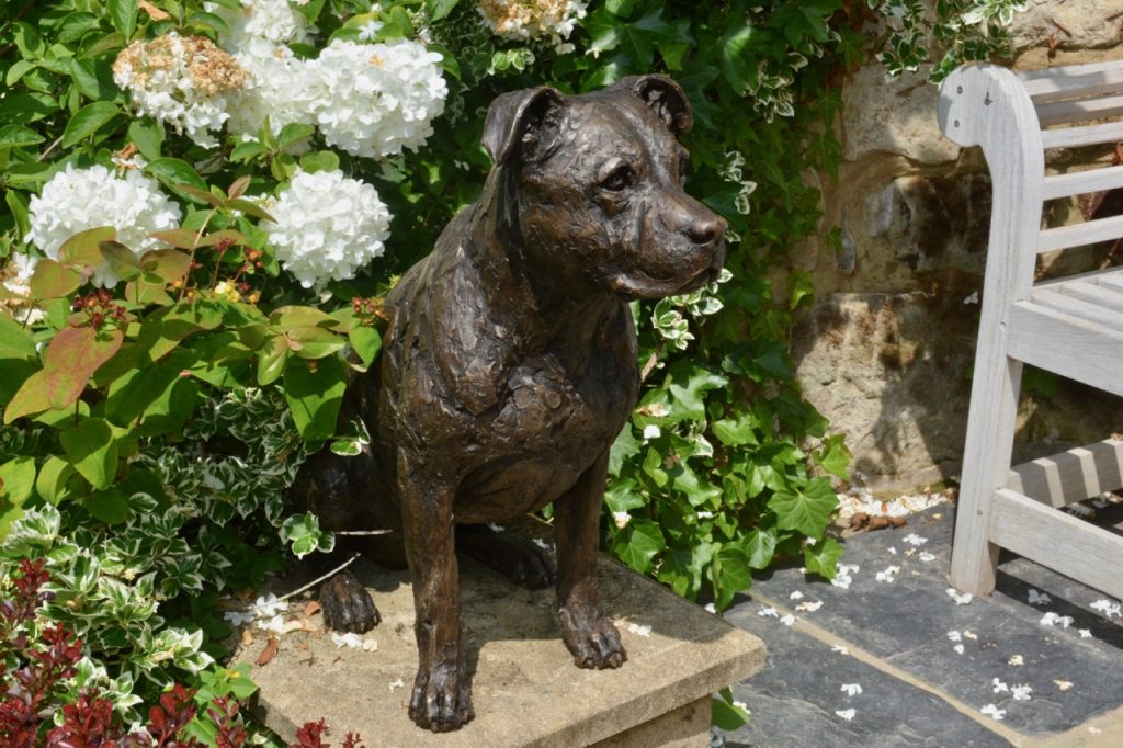 Bronze American Staffordshire Bull Terrier Sculpture | Staffy Dog Statue