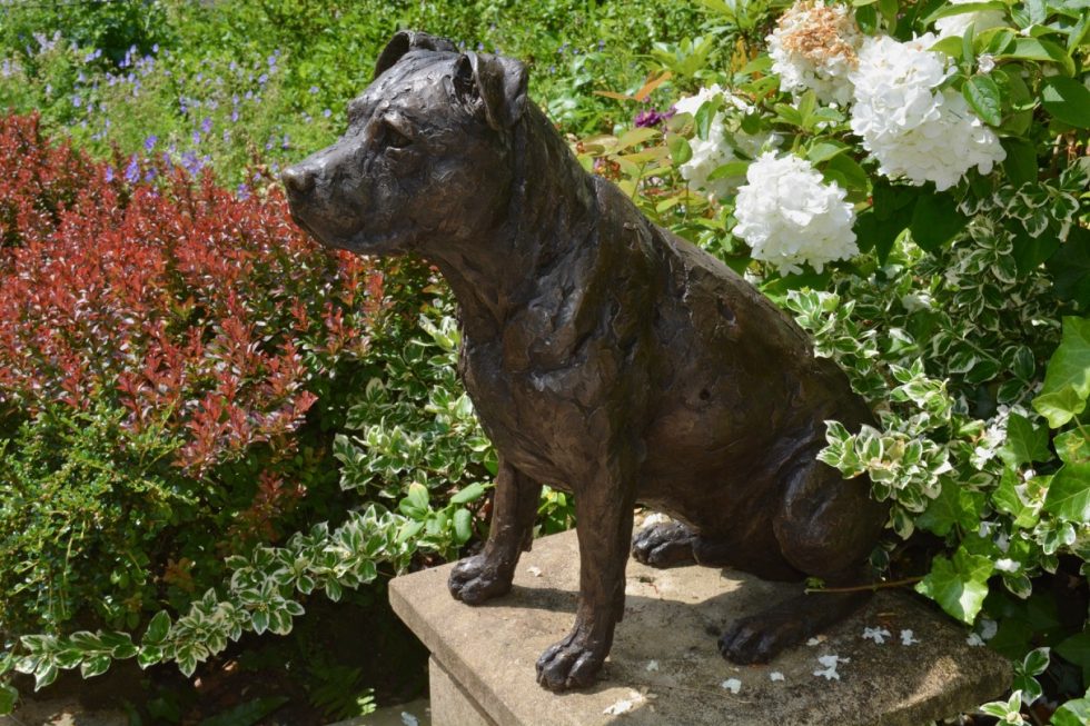 Bronze American Staffordshire Bull Terrier Sculpture | Staffy Dog Statue