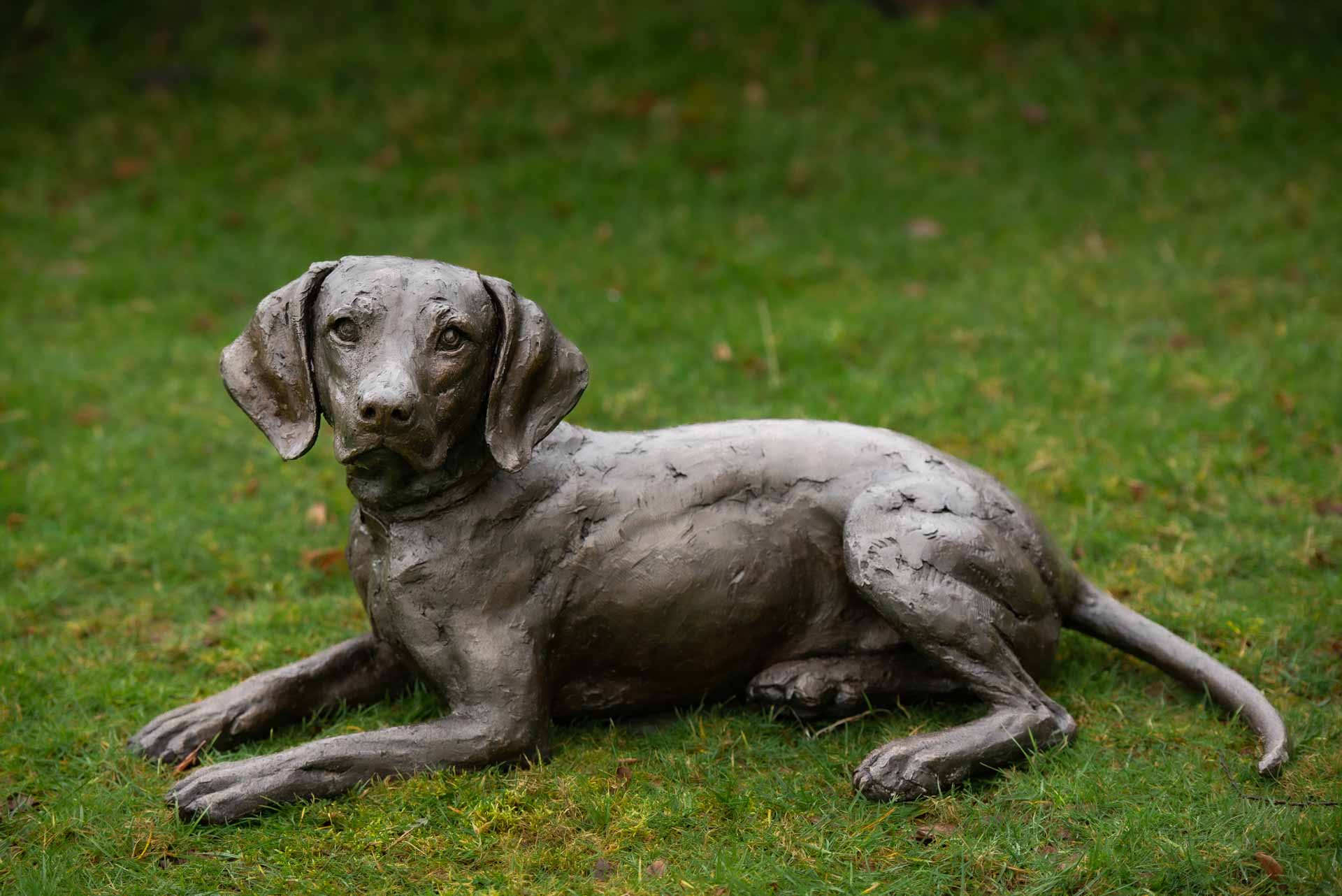 Bronze Speagle Sculpture | Lying Beagle Statue | Bronze Speagle