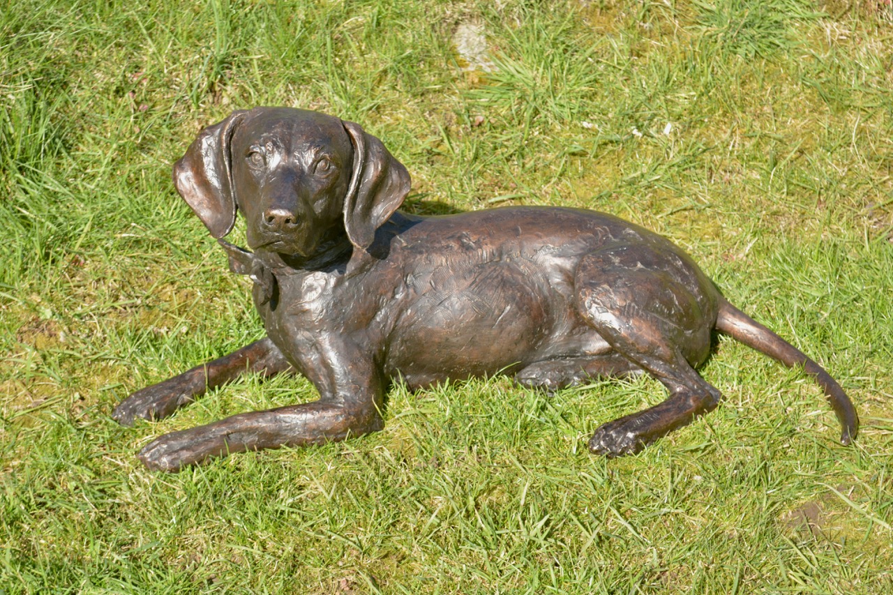 Bronze Speagle Sculpture | Lying Beagle Statue | Bronze Speagle