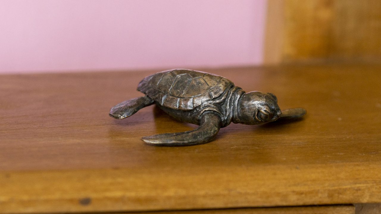 Baby Turtle Sculpture | Bronze Crawling Turtle Statue | Turtle Ornament