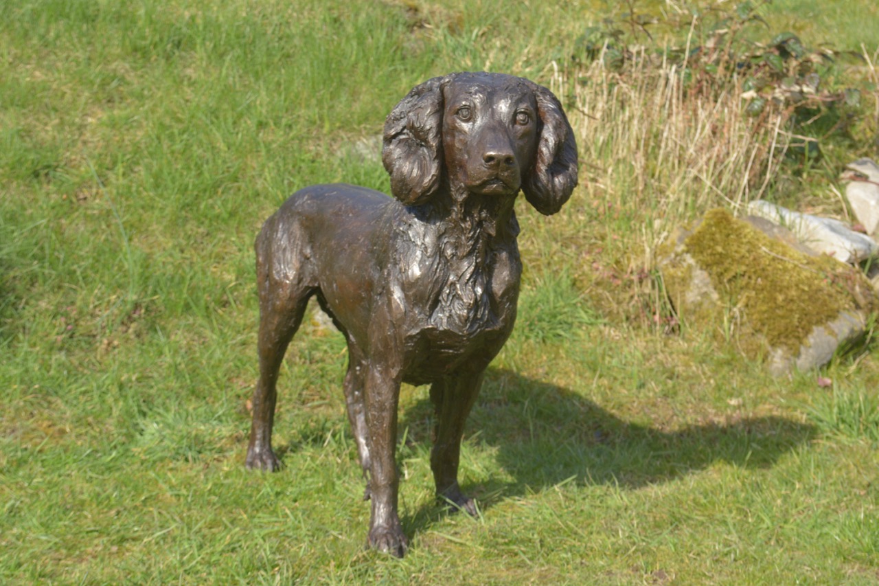 STANDING SPRINGER SPANIEL SCULPTURE | Tanya Russell