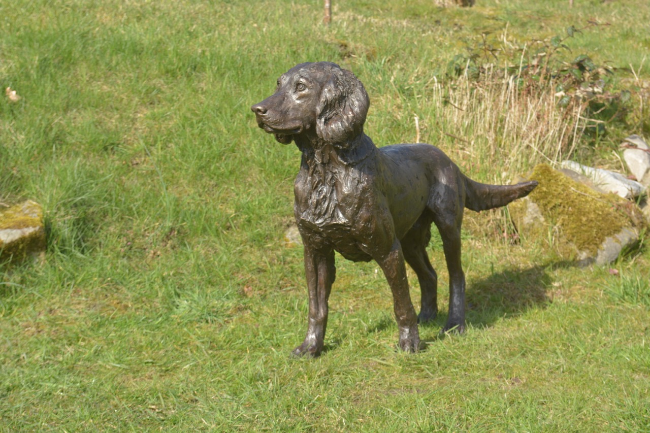 STANDING SPRINGER SPANIEL SCULPTURE | Tanya Russell