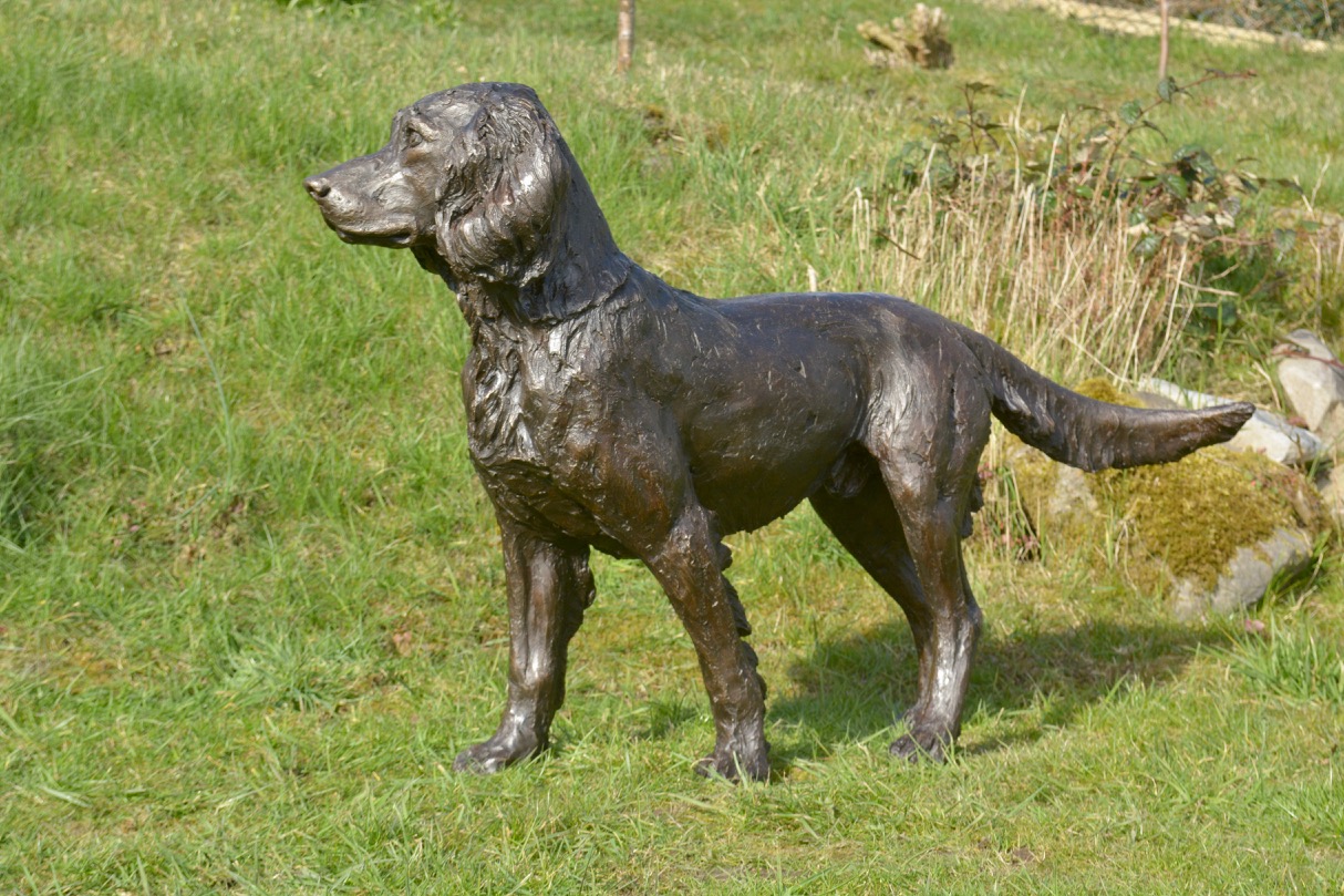 STANDING SPRINGER SPANIEL SCULPTURE | Tanya Russell