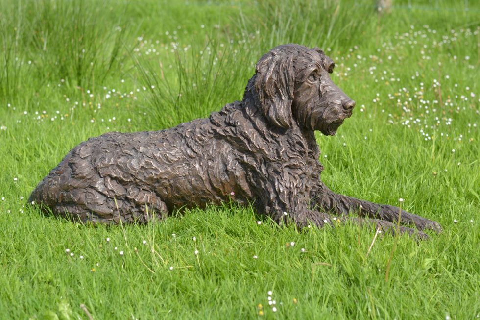 Bronze Lying Labradoodle sculpture | Labradoodle statue | Lifesize ...