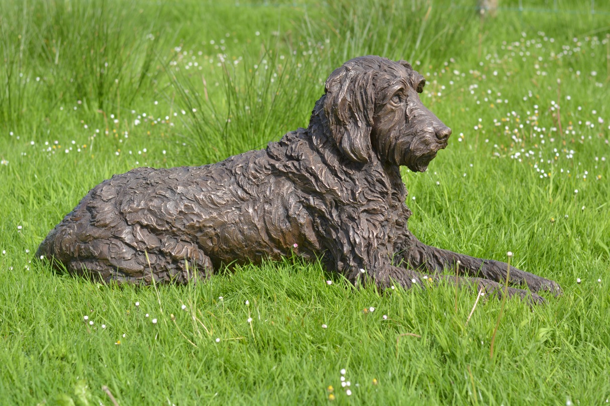 Bronze Lying Labradoodle sculpture | Labradoodle statue | Lifesize ...
