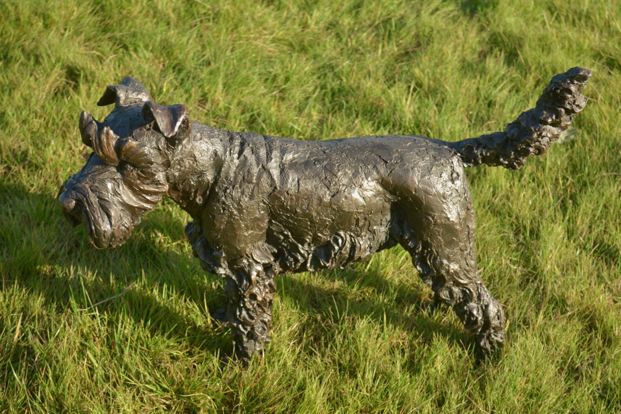 STANDING MINIATURE SCHNAUZER SCULPTURE | Tanya Russell