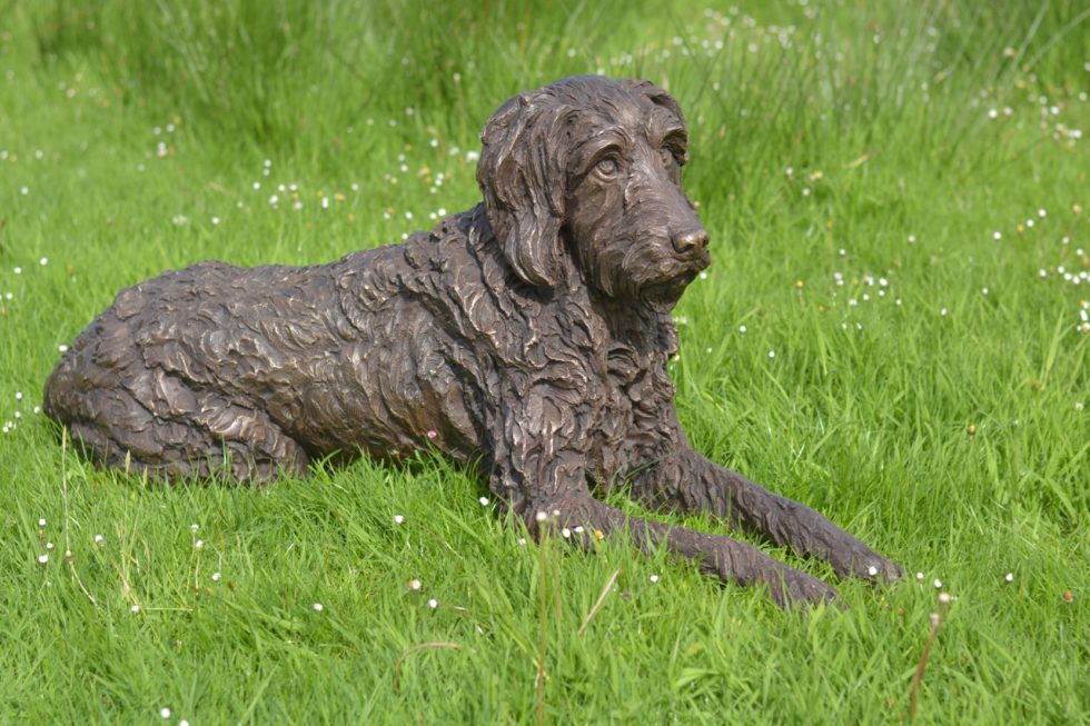 Bronze Lying Labradoodle sculpture | Labradoodle statue | Lifesize ...