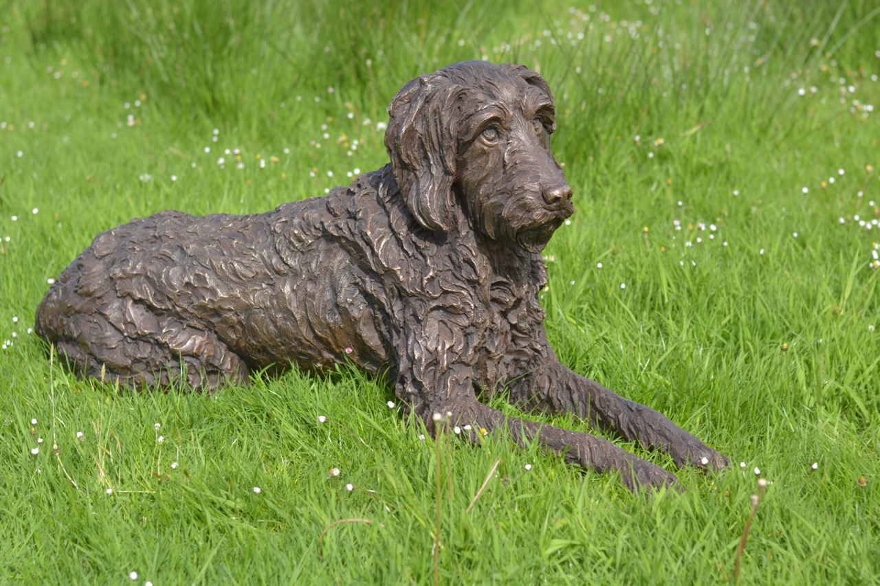 Bronze Lying Labradoodle sculpture | Labradoodle statue | Lifesize ...