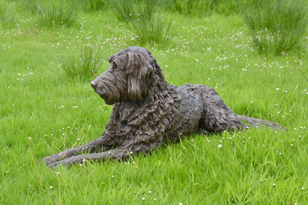 Bronze Lying Labradoodle sculpture | Labradoodle statue | Lifesize ...