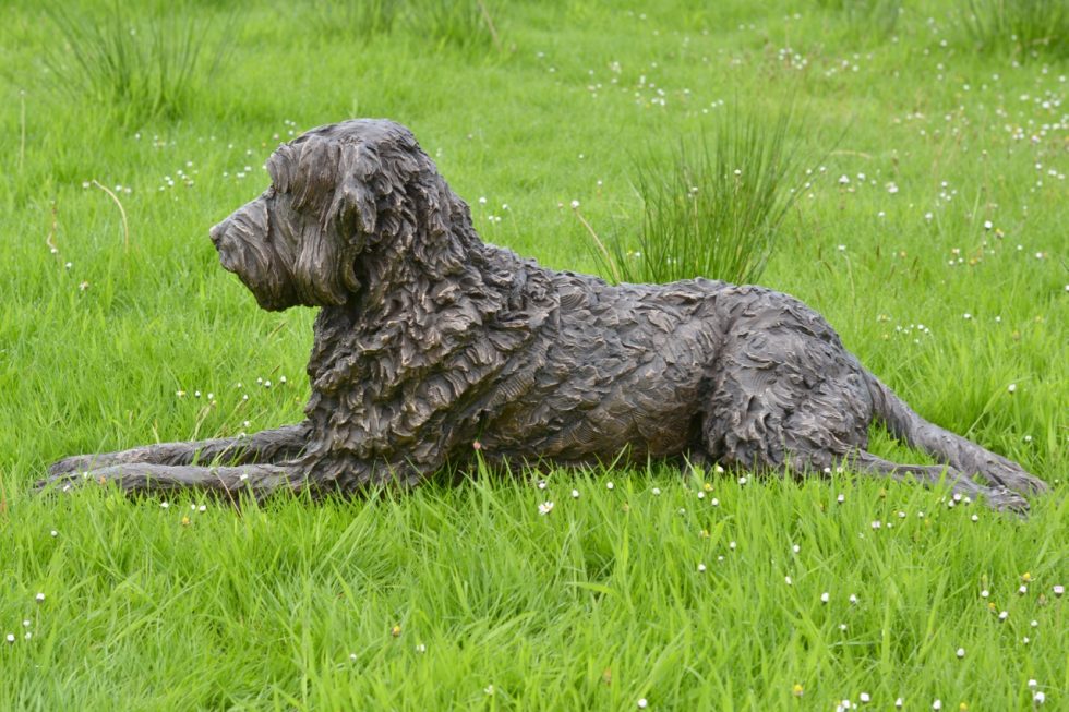 Bronze Lying Labradoodle sculpture | Labradoodle statue | Lifesize ...