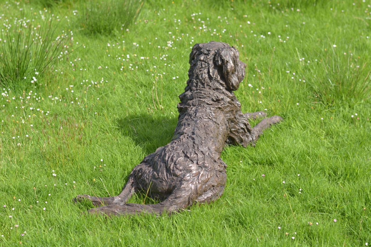 Bronze Lying Labradoodle sculpture | Labradoodle statue | Lifesize ...