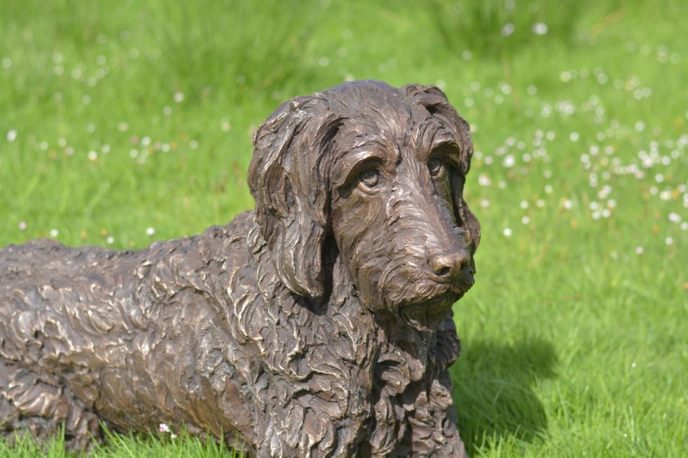 Bronze Lying Labradoodle sculpture | Labradoodle statue | Lifesize ...