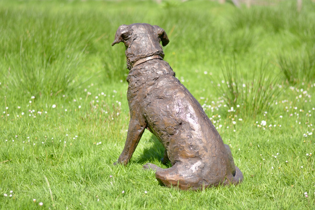 Bronze Labrador sculpture | Labrador statue | Life Size Labrador statue