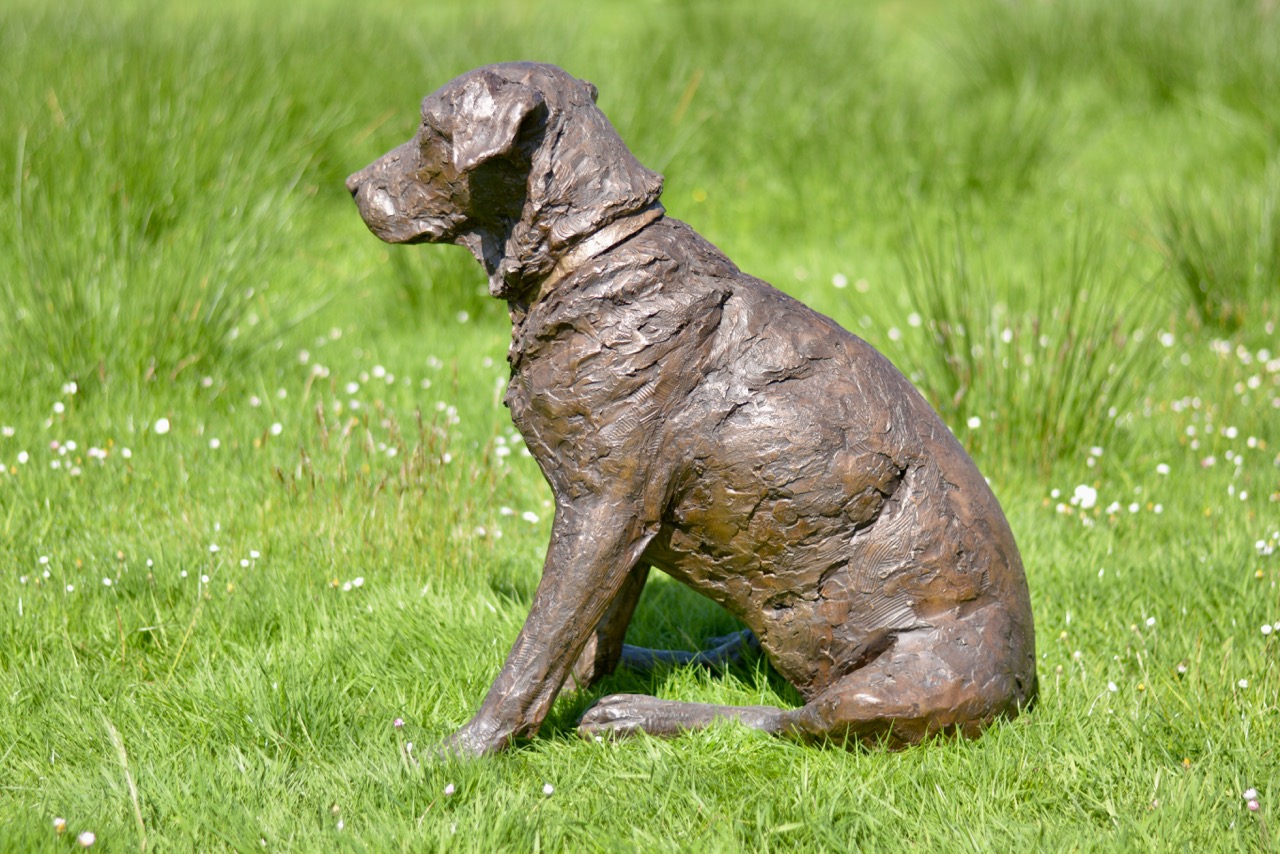 Bronze Labrador sculpture | Labrador statue | Life Size Labrador statue