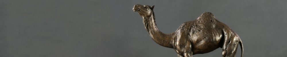 Bronze Camel Sculpture | Bronze Camel Statue