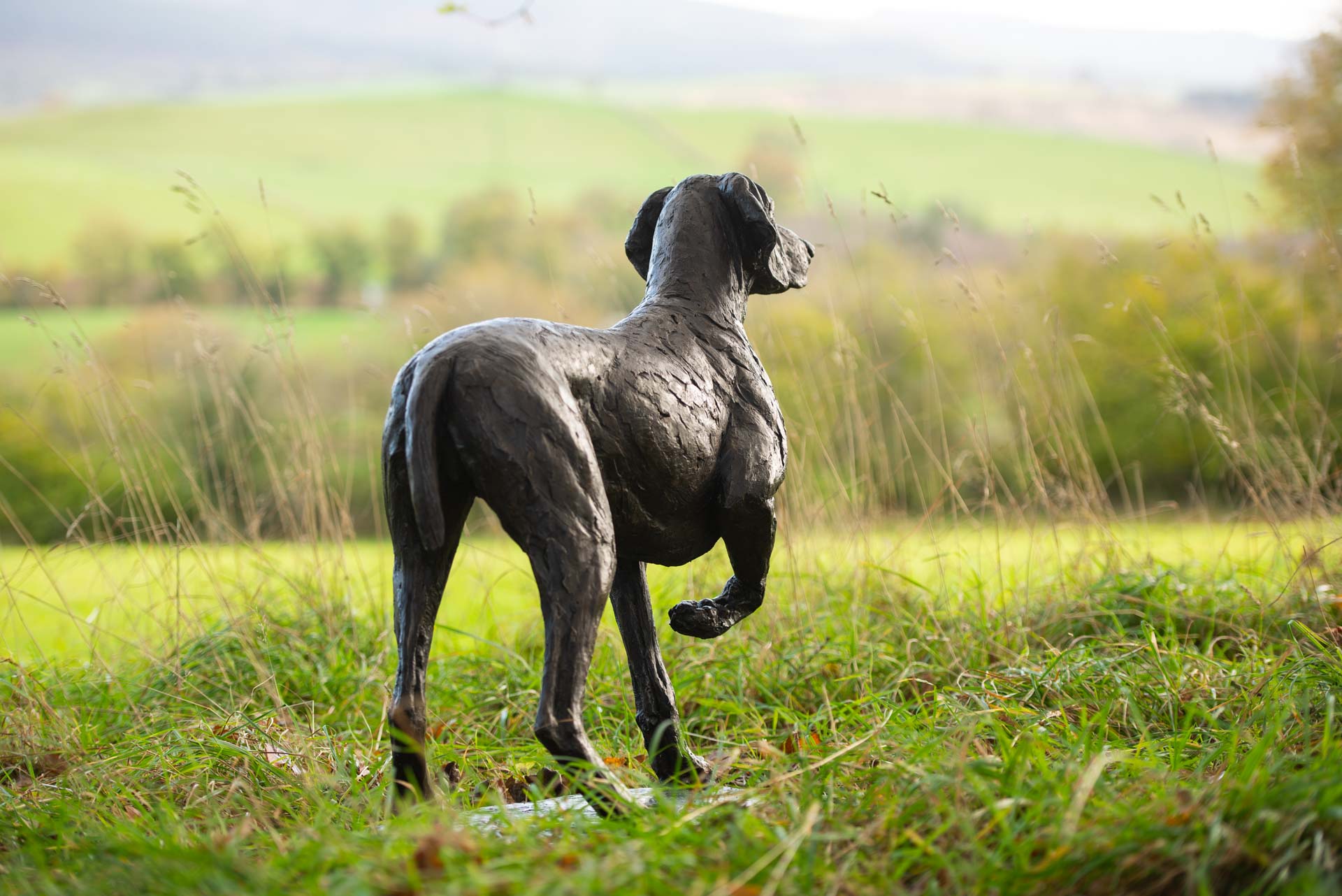 Bronze POINTING WEIMARANER SCULPTURE | Pointing Weimaraner Statue