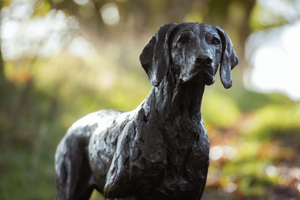 Bronze POINTING WEIMARANER SCULPTURE | Pointing Weimaraner Statue