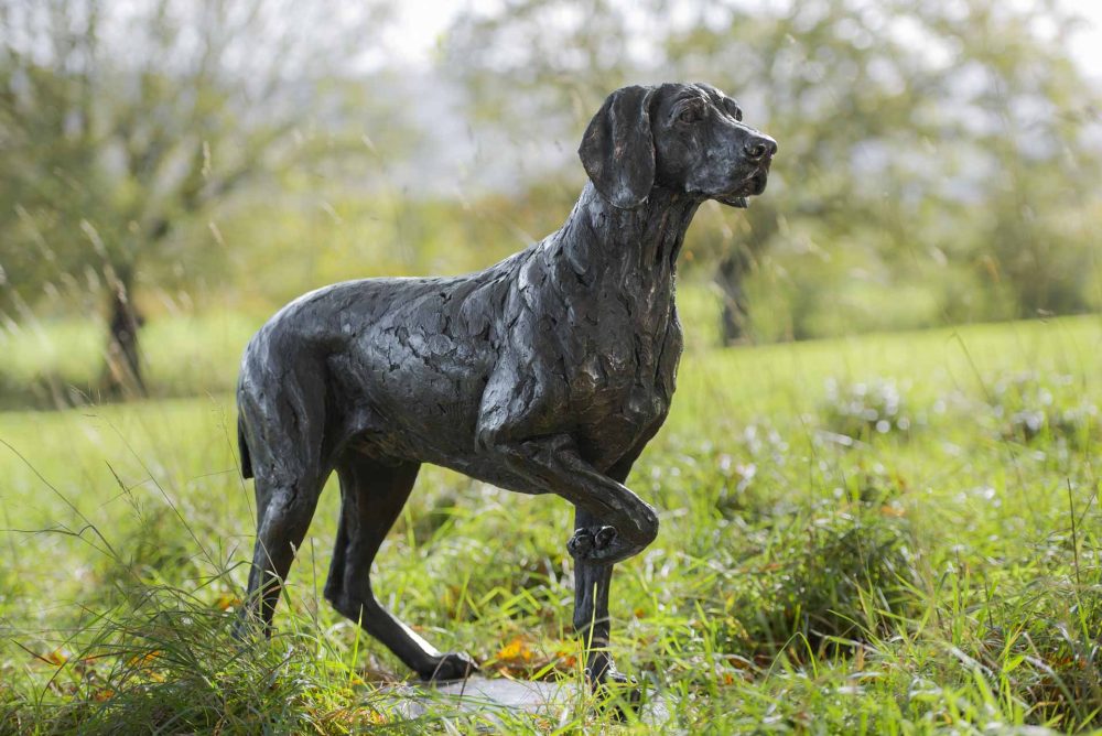 Bronze POINTING WEIMARANER SCULPTURE | Pointing Weimaraner Statue
