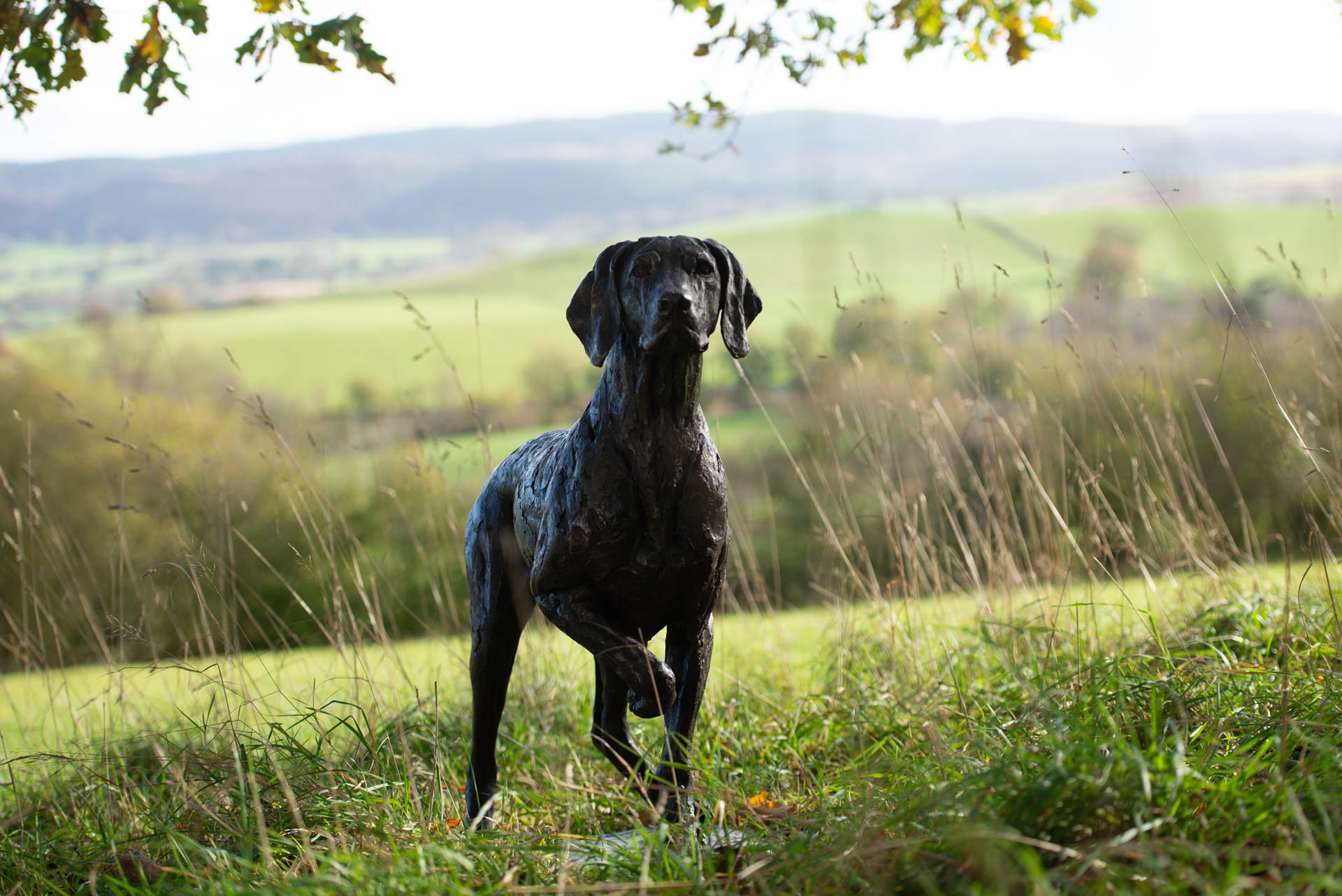 Bronze POINTING WEIMARANER SCULPTURE | Pointing Weimaraner Statue