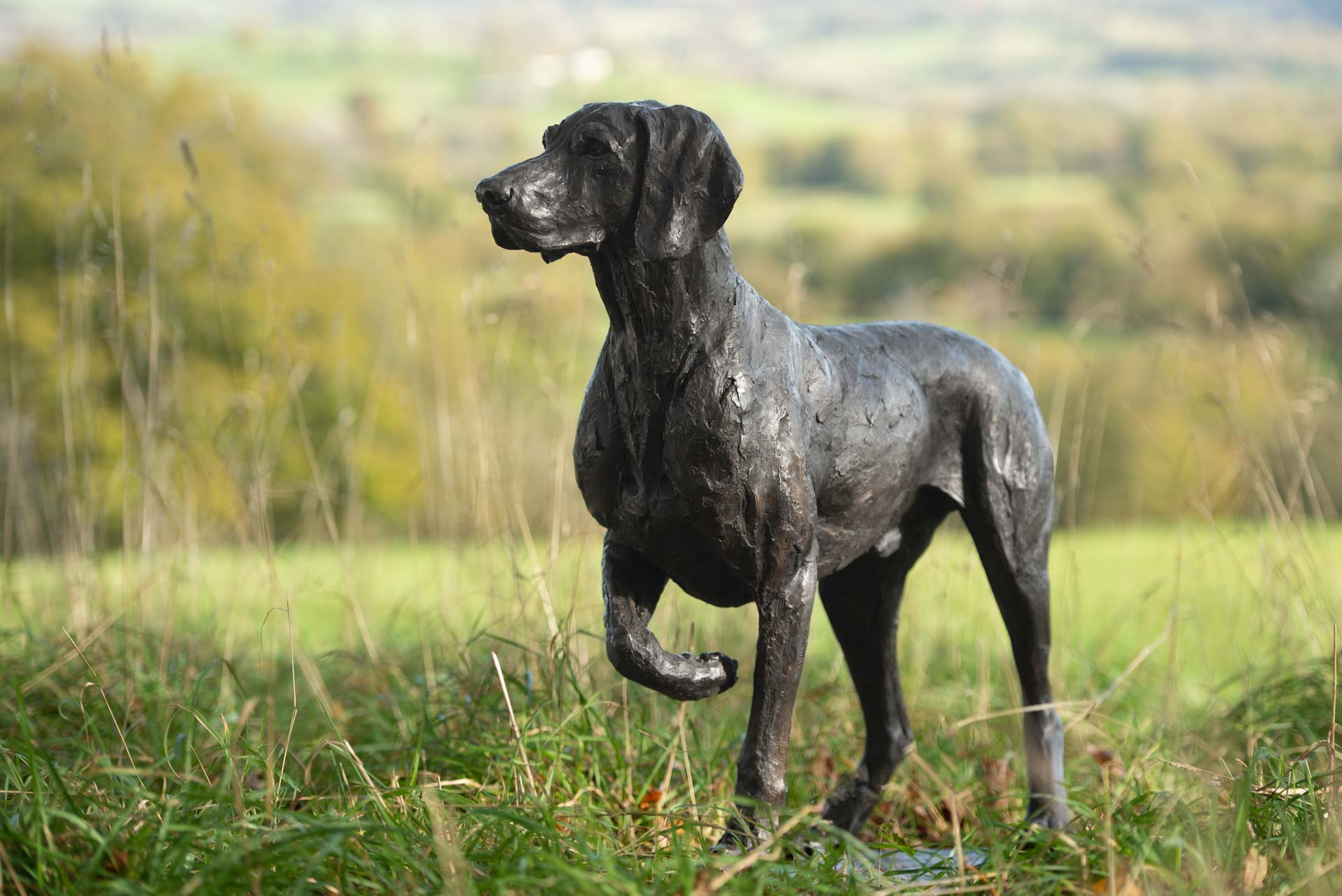 Bronze POINTING WEIMARANER SCULPTURE | Pointing Weimaraner Statue
