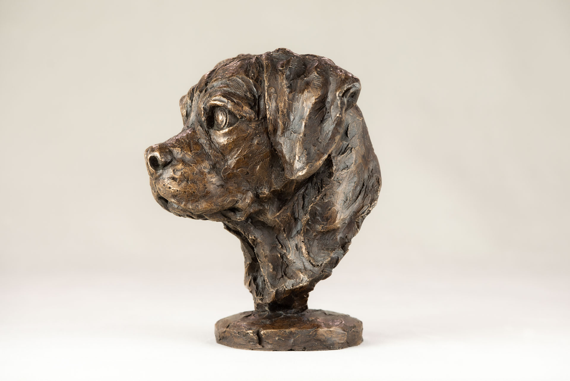Puggle Portrait sculpture by Tanya Russell | Puggle Head statue