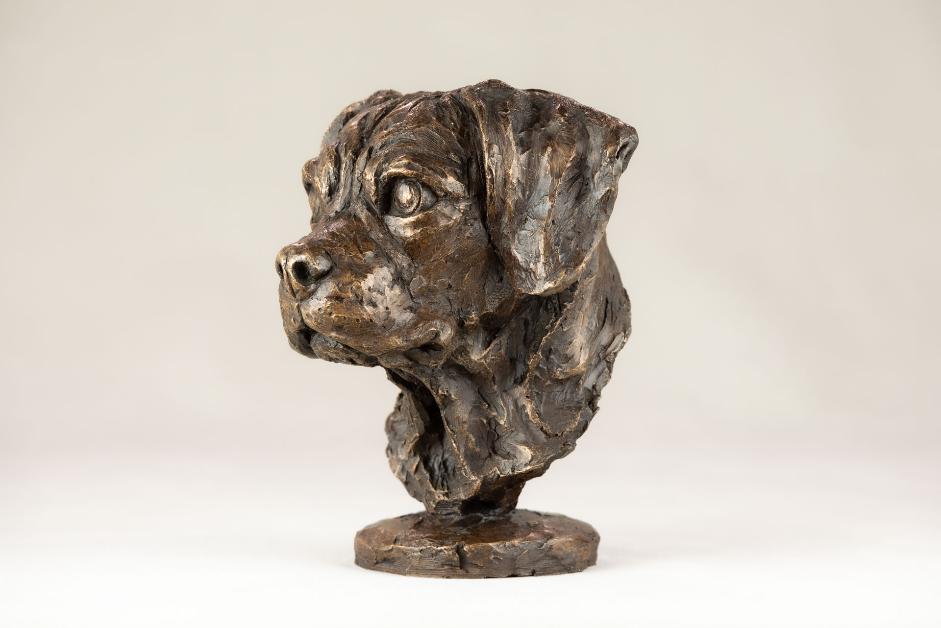Puggle Portrait sculpture by Tanya Russell | Puggle Head statue