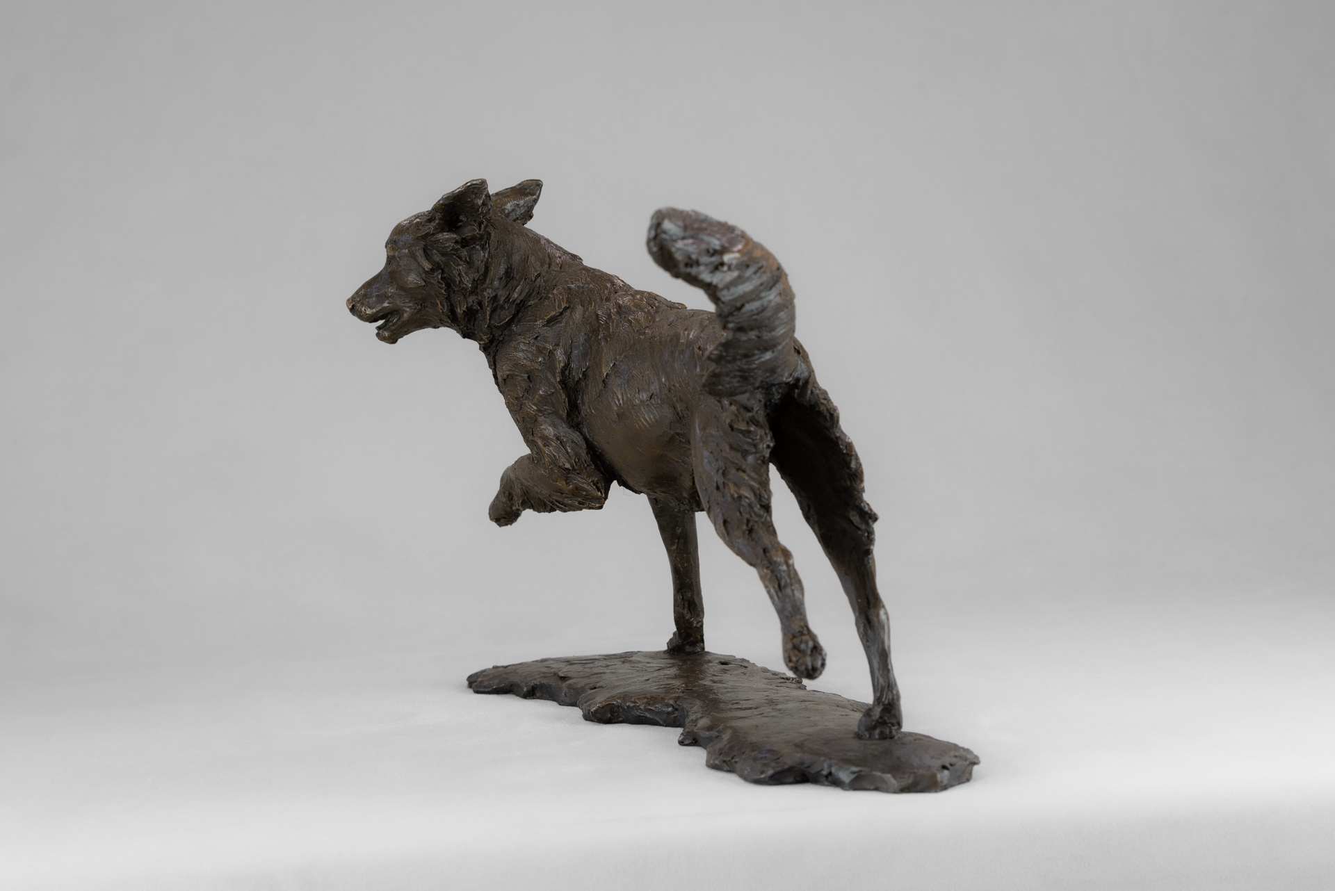 Bronze Nova Scotia Duck Tolling Retriever Sculpture