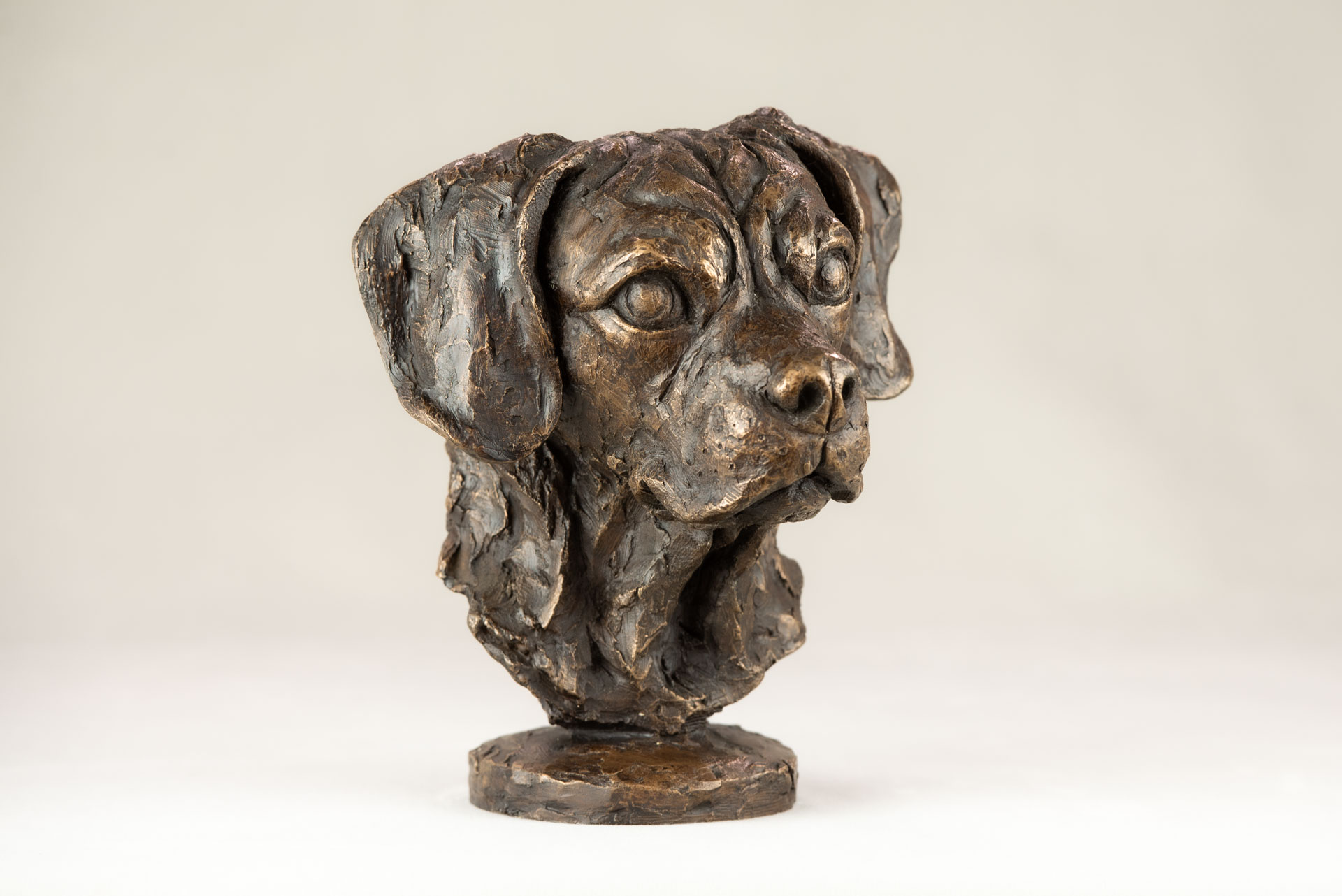 Puggle Portrait sculpture by Tanya Russell | Puggle Head statue