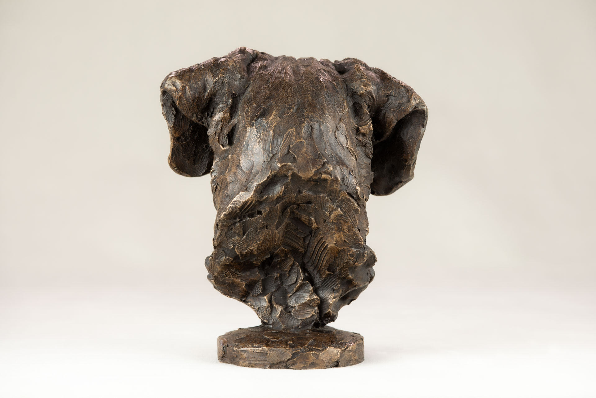 Puggle Portrait sculpture by Tanya Russell | Puggle Head statue