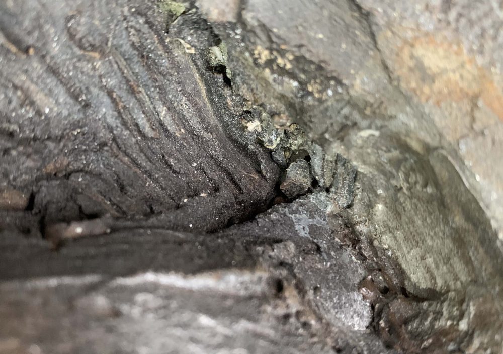 Repairing a Bronze Statue - Identifying types of damage and how to ...