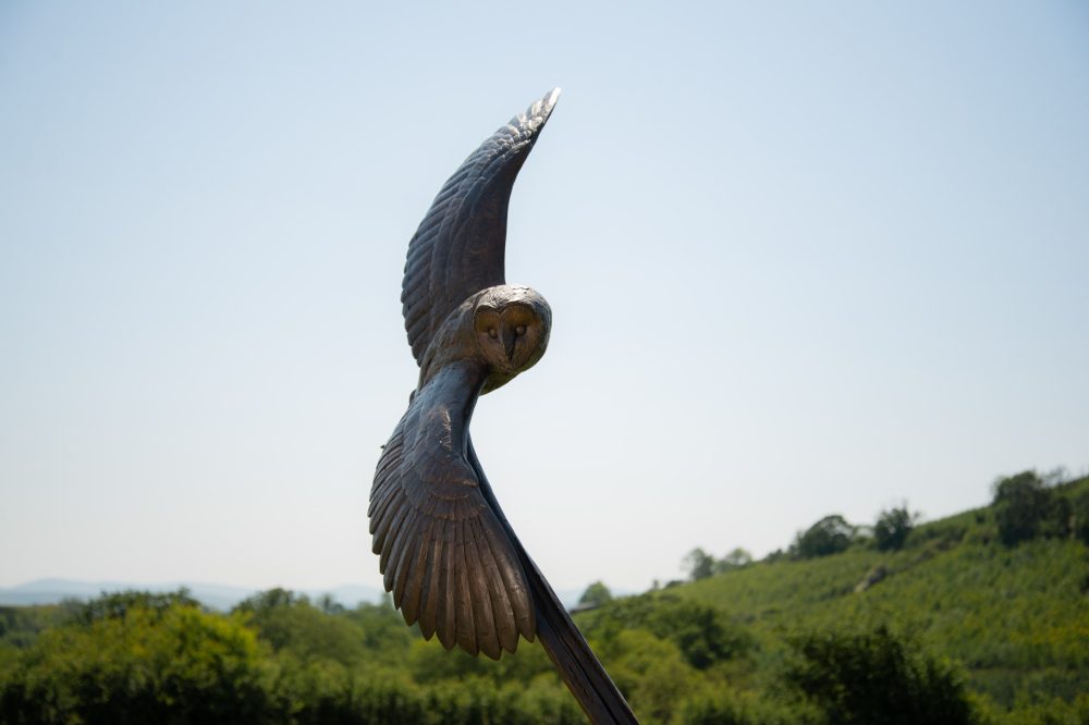 Bronze Flying Owl Sculpture | Bronze Owl Statue | Outdoor