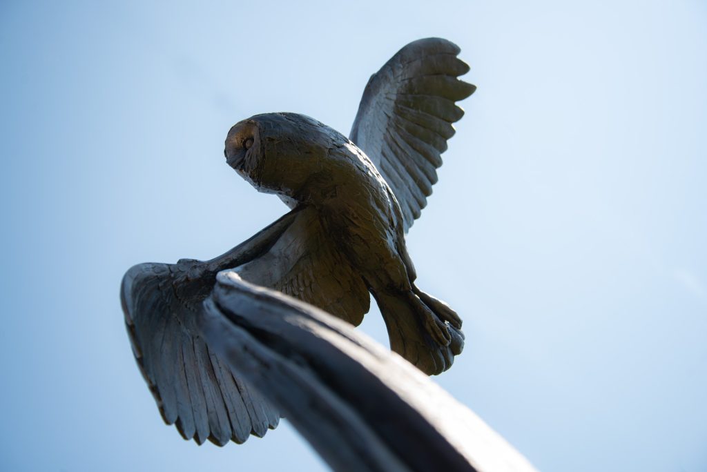 Bronze Flying Owl Sculpture | Bronze Owl Statue | Outdoor