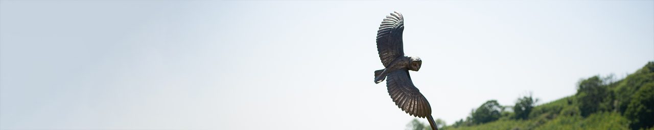 Bronze Flying Owl Sculpture | Bronze Owl Statue | Outdoor