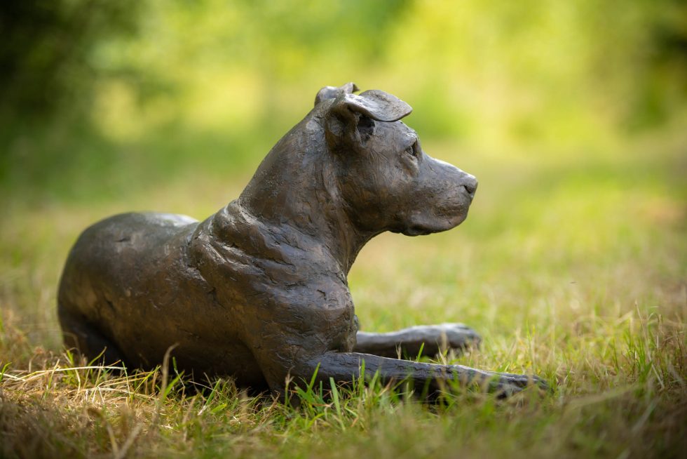 LYING AMERICAN STAFFORDSHIRE BULL TERRIER SCULPTURE | Tanya Russell