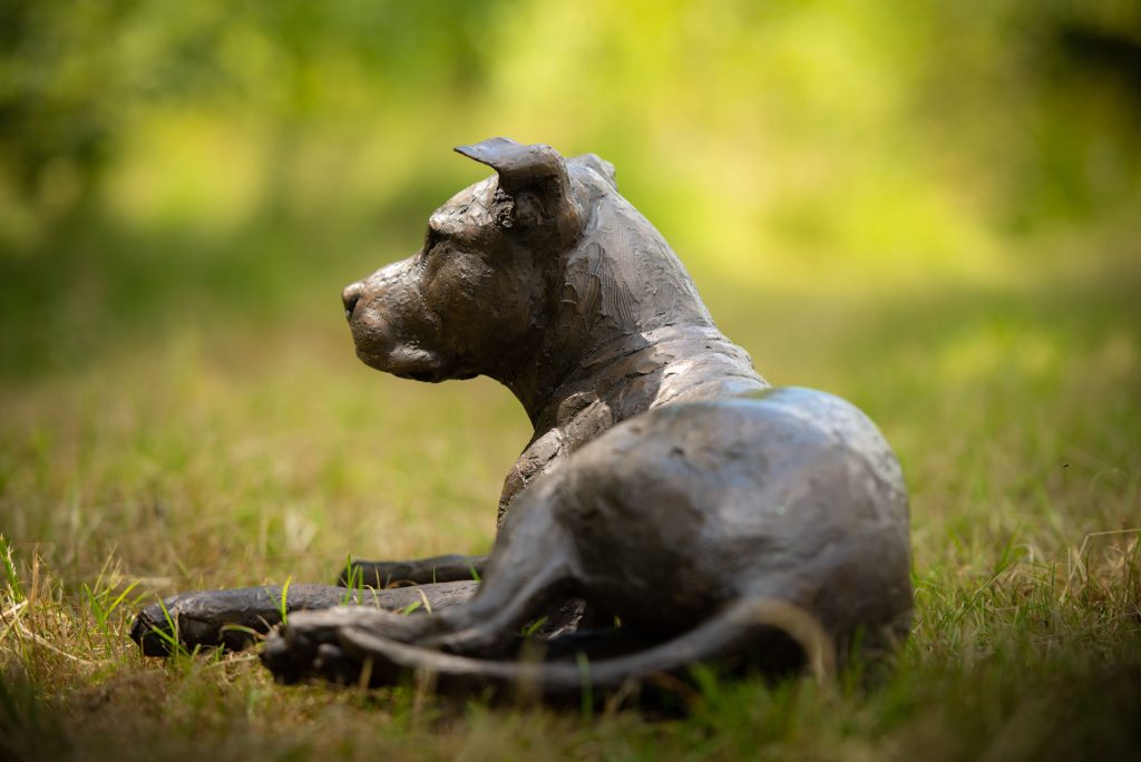 LYING AMERICAN STAFFORDSHIRE BULL TERRIER SCULPTURE | Tanya Russell