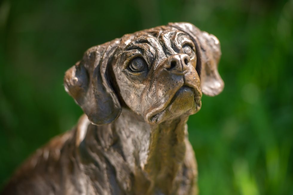 Sitting Puggle Sculpture | Bronze Puggle Statue
