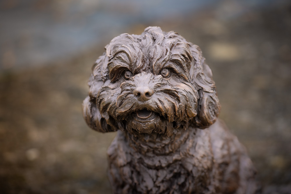 Bronze Sitting Cavapoo Sculpture | Lifesize Dog Garden Statue