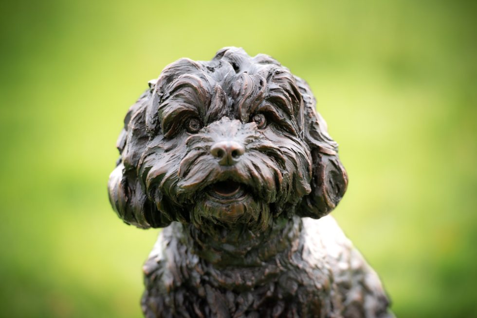 Bronze Sitting Cavapoo Sculpture | Lifesize Dog Garden Statue