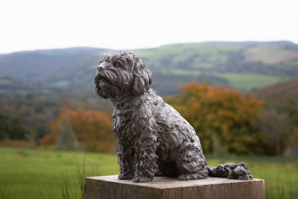 Bronze Sitting Cavapoo Sculpture | Lifesize Dog Garden Statue