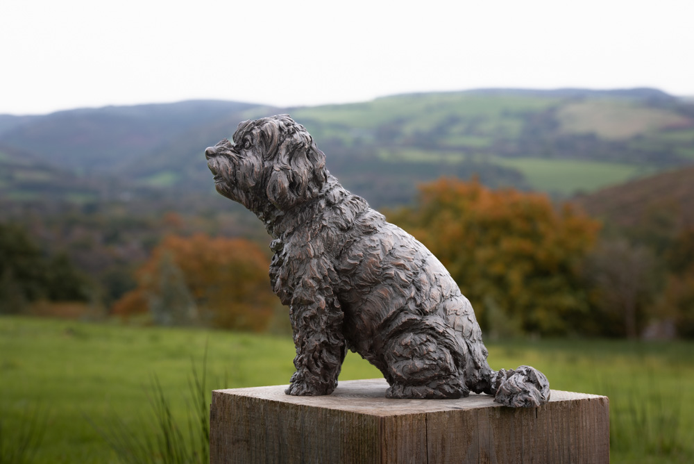 Bronze Sitting Cavapoo Sculpture | Lifesize Dog Garden Statue