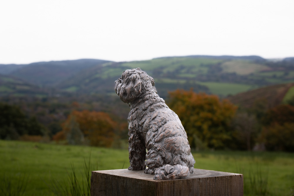 Bronze Sitting Cavapoo Sculpture | Lifesize Dog Garden Statue