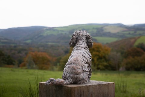 Bronze Sitting Cavapoo Sculpture | Lifesize Dog Garden Statue