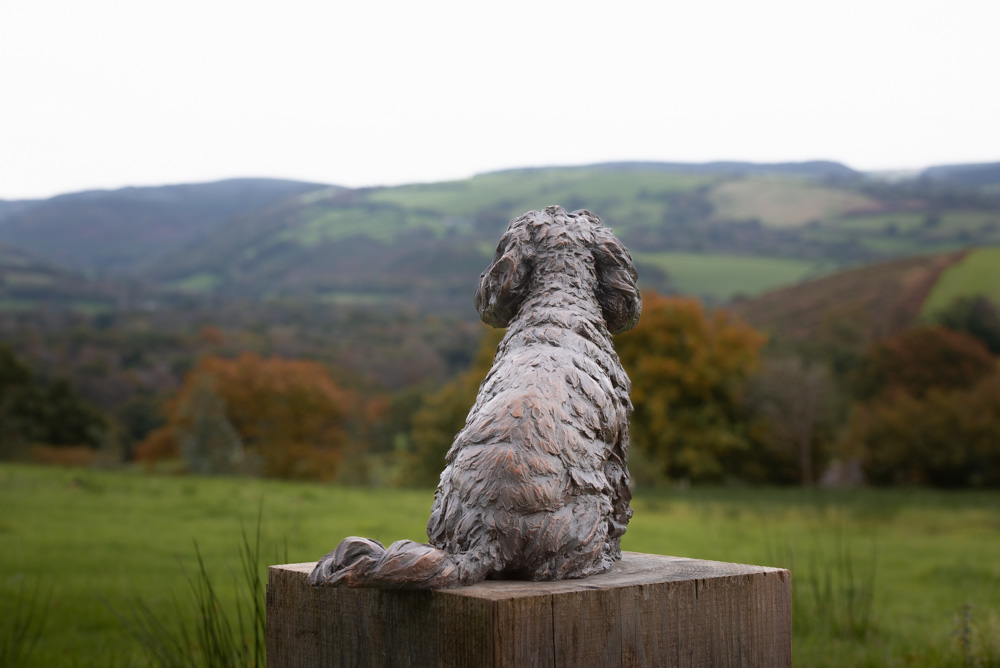 Bronze Sitting Cavapoo Sculpture | Lifesize Dog Garden Statue