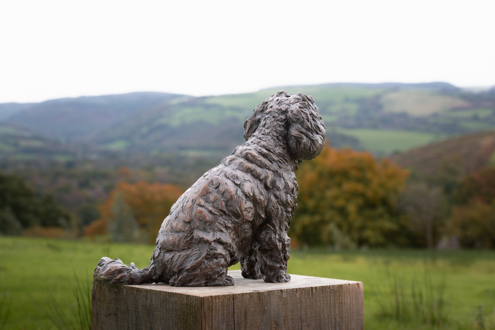 Bronze Sitting Cavapoo Sculpture | Lifesize Dog Garden Statue