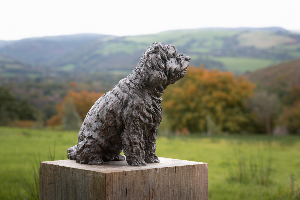 Bronze Sitting Cavapoo Sculpture | Lifesize Dog Garden Statue