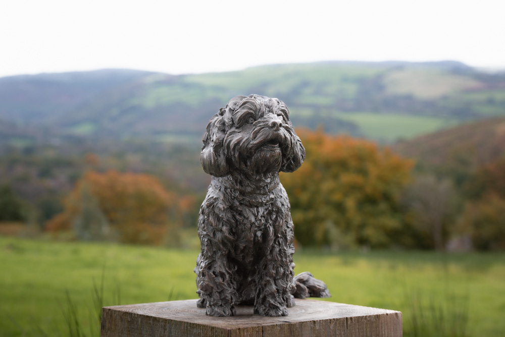 Bronze Sitting Cavapoo Sculpture | Lifesize Dog Garden Statue