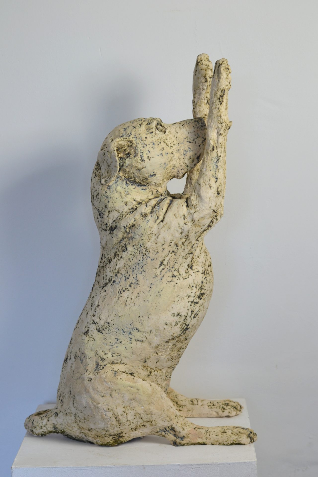 Photo journey - how Tanya Russell became a bronze animal sculptor in ...