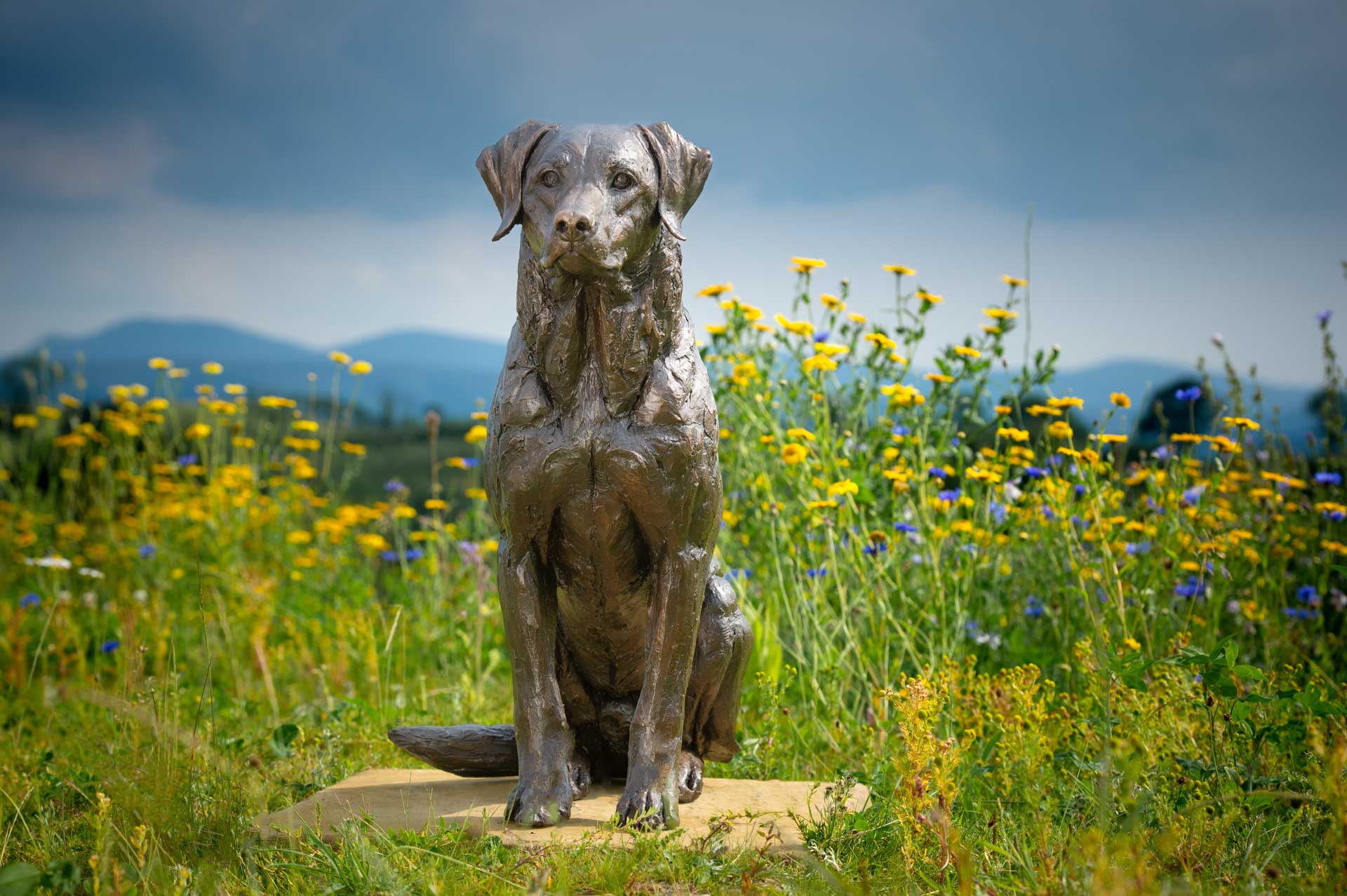 Bronze Sporting Labrador sculpture | Labrador statue | Life Size